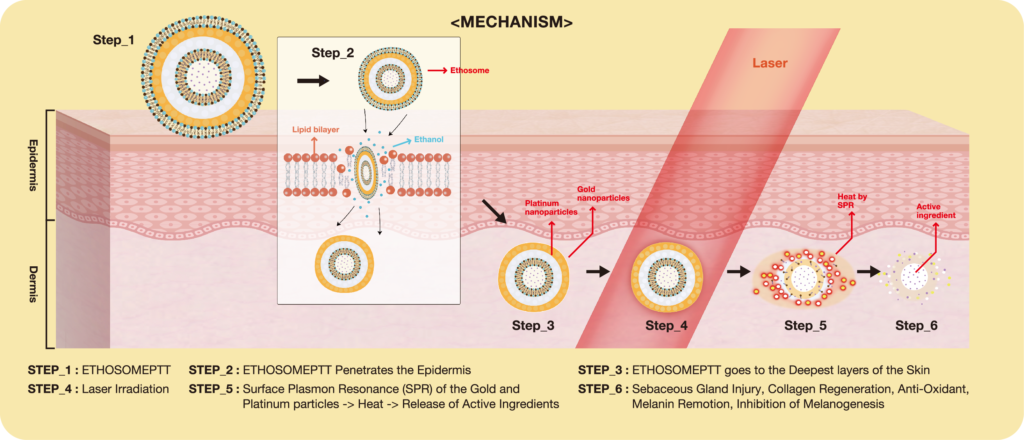 Product_ETHOSOMEPTT – N-Finders